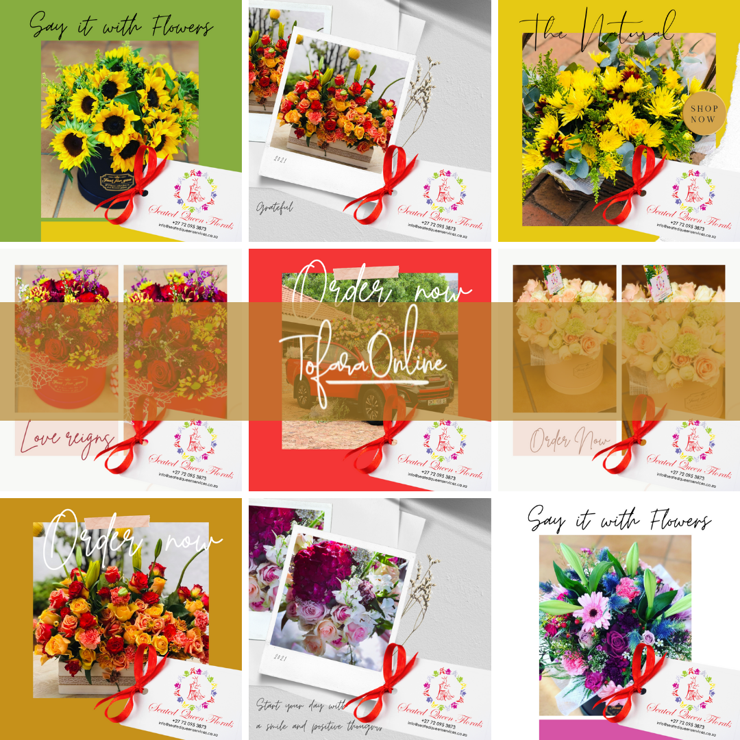 Digital Marketing Packs – TofaraOnline